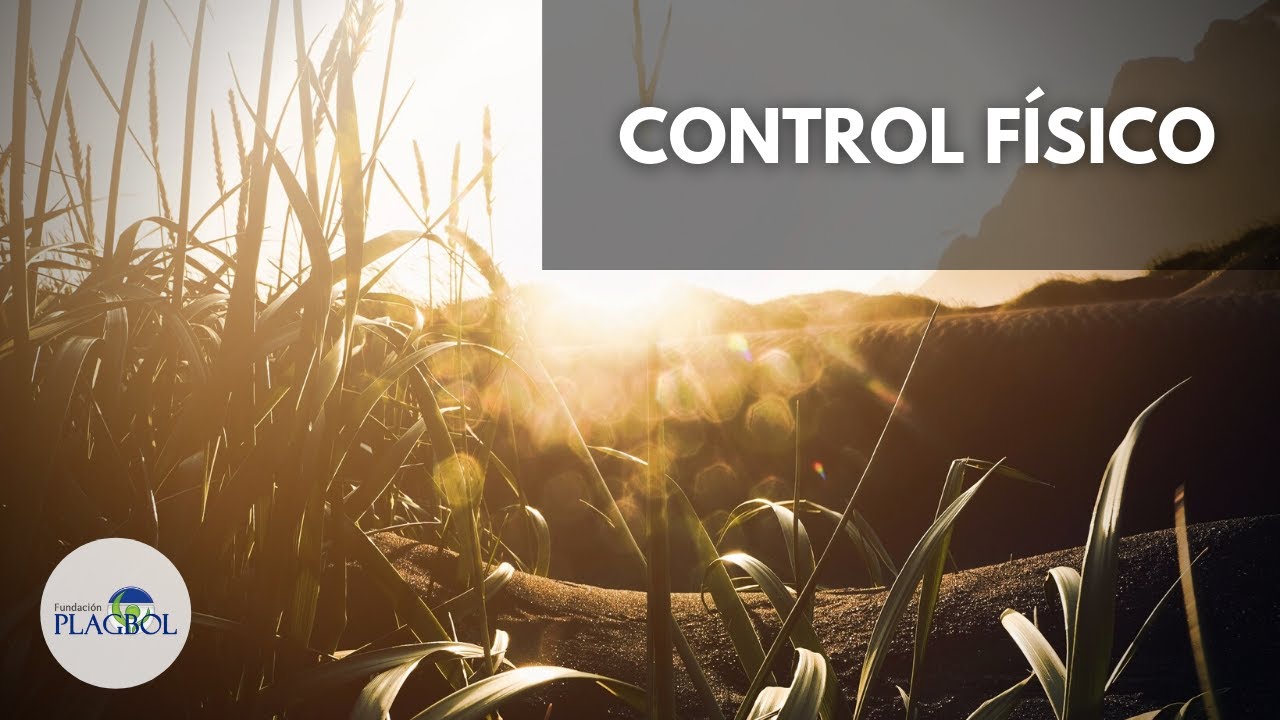 CONTROL FÍSICO - YouTube