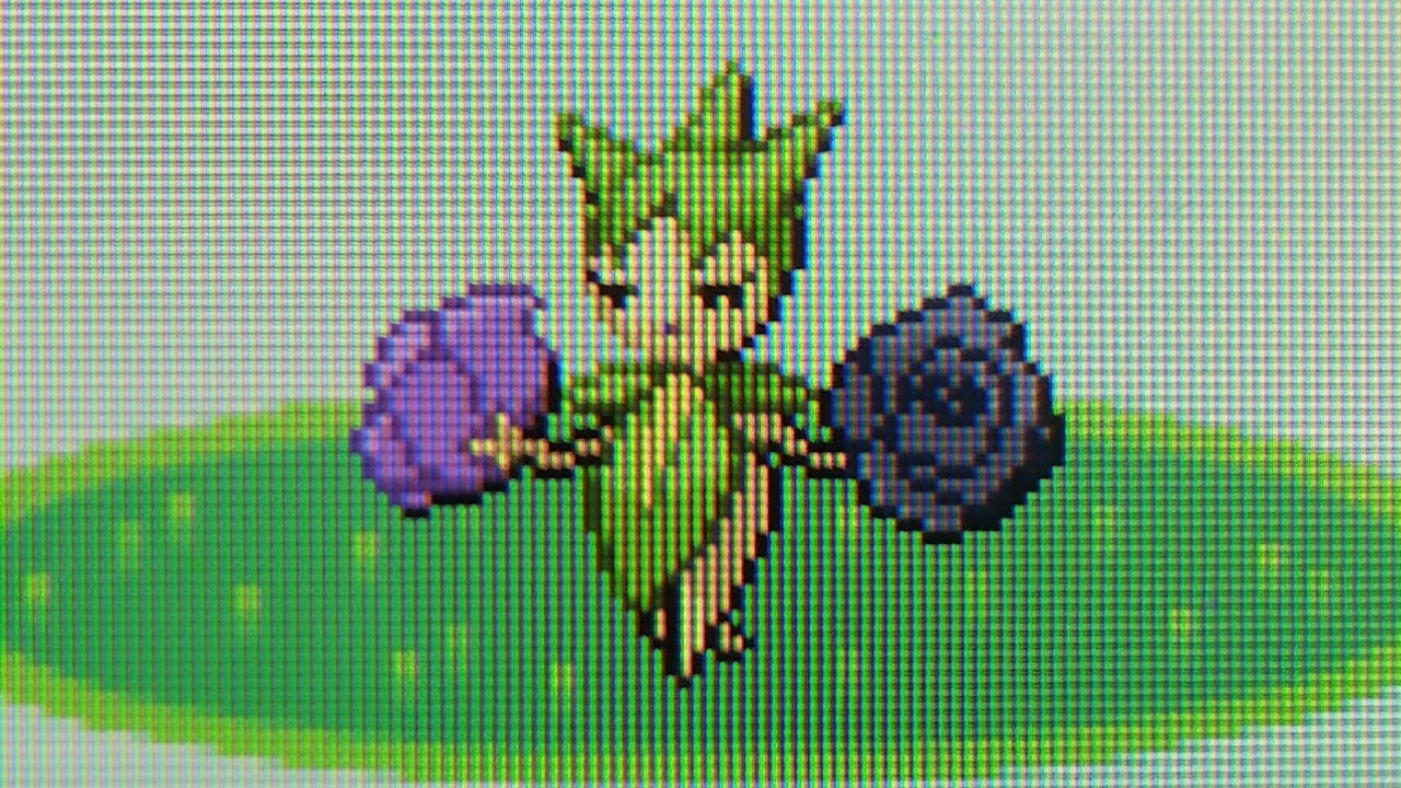 LiVE!! SHiNY ROSELiA AFTER a total of 36850 RE'S iN 3RD GEN - YouTube