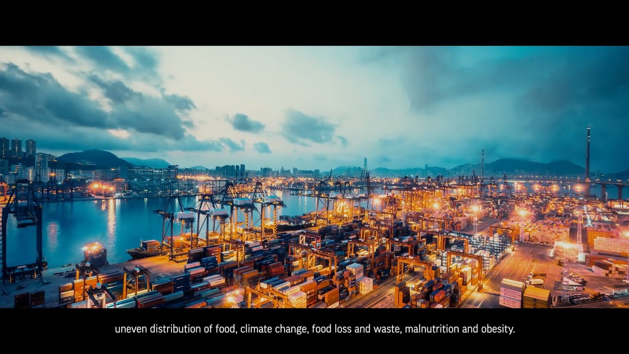 Food Nation Denmark - Discover Nordic Cuisine and Sustainability - YouTube