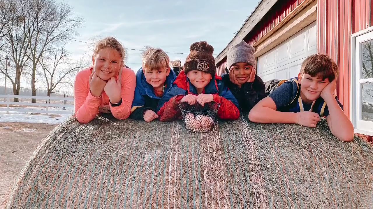 January Barn Cleaning - YouTube