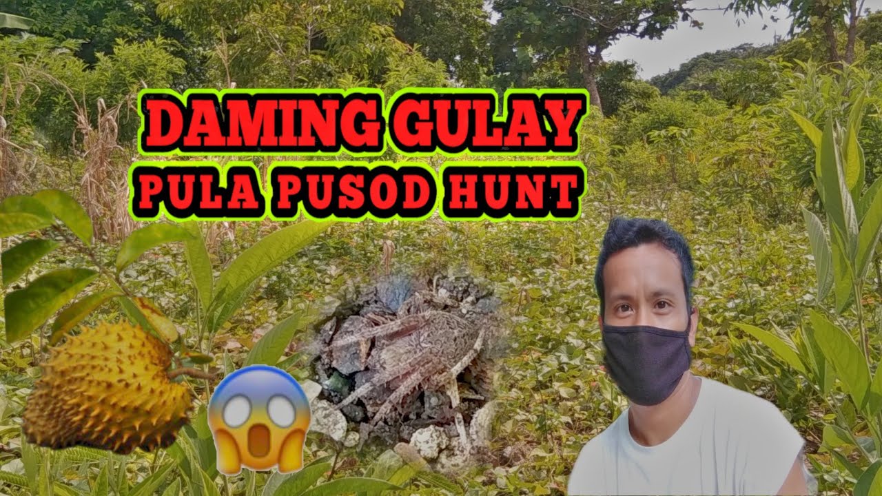 PULA PUSOD HUNT - YouTube