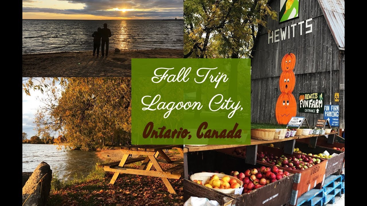 Capturing the Beauty of Fall Sunset at Lagoon City: A Magical ...