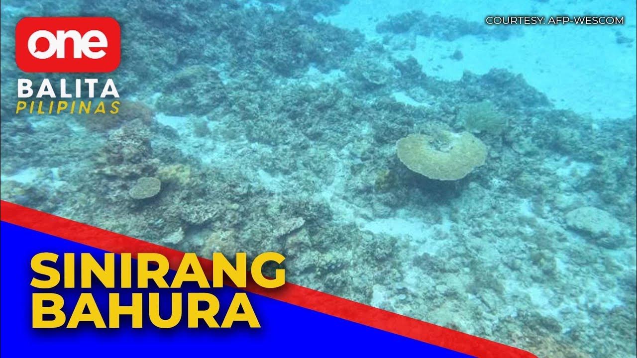 Coral reefs sa Rozul Reef, halos maubos na! - YouTube