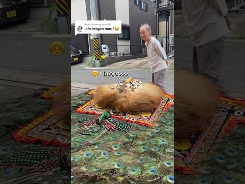 Reaksi mbah” jepang lihat reog ponorogo #japan #love #shortvideo #viral #viralvideo