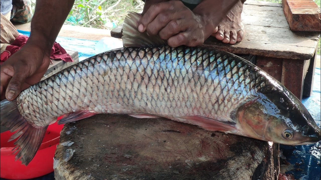 Huge giant grass carp cutting skill live in fish market | big fish ...