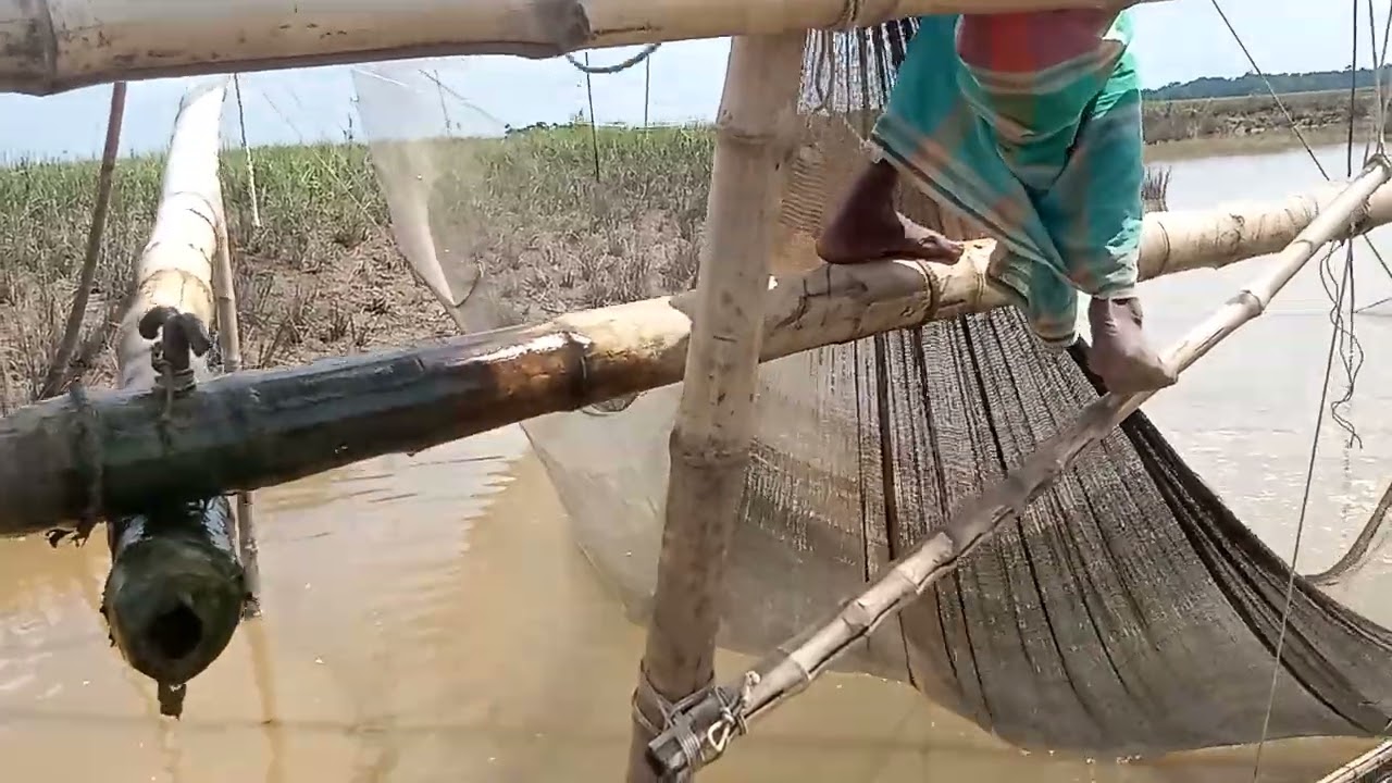 Best Fishing Video In Beautiful Village |Traditional Net Fishing - YouTube