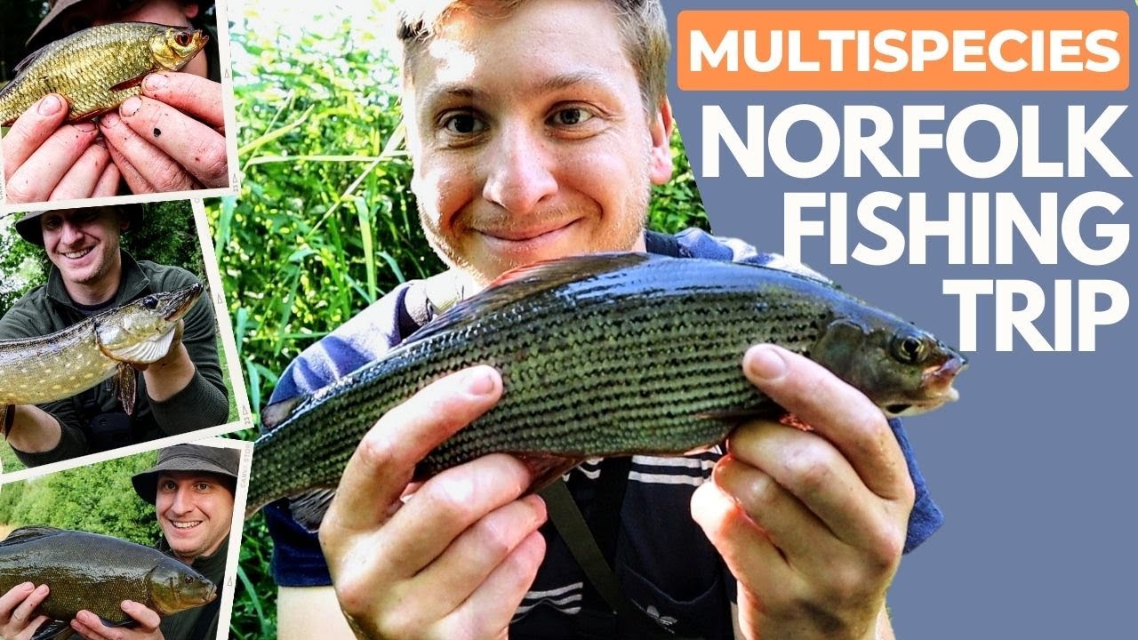 Multispecies Angling on a Norfolk Fishing Trip - Tench, Rudd, Pike ...