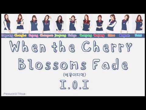 I.O.I - When the Cherry Blossoms Fade  (벚꽃이 지면) = Türkçe Çeviri = (Rom/Han/TR/Renk Kodlu)
