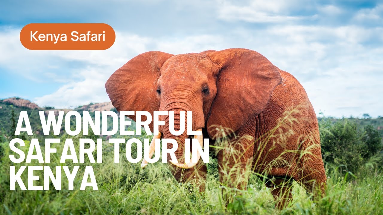 The exciting video about a wonderful safari tour in Kenya - YouTube