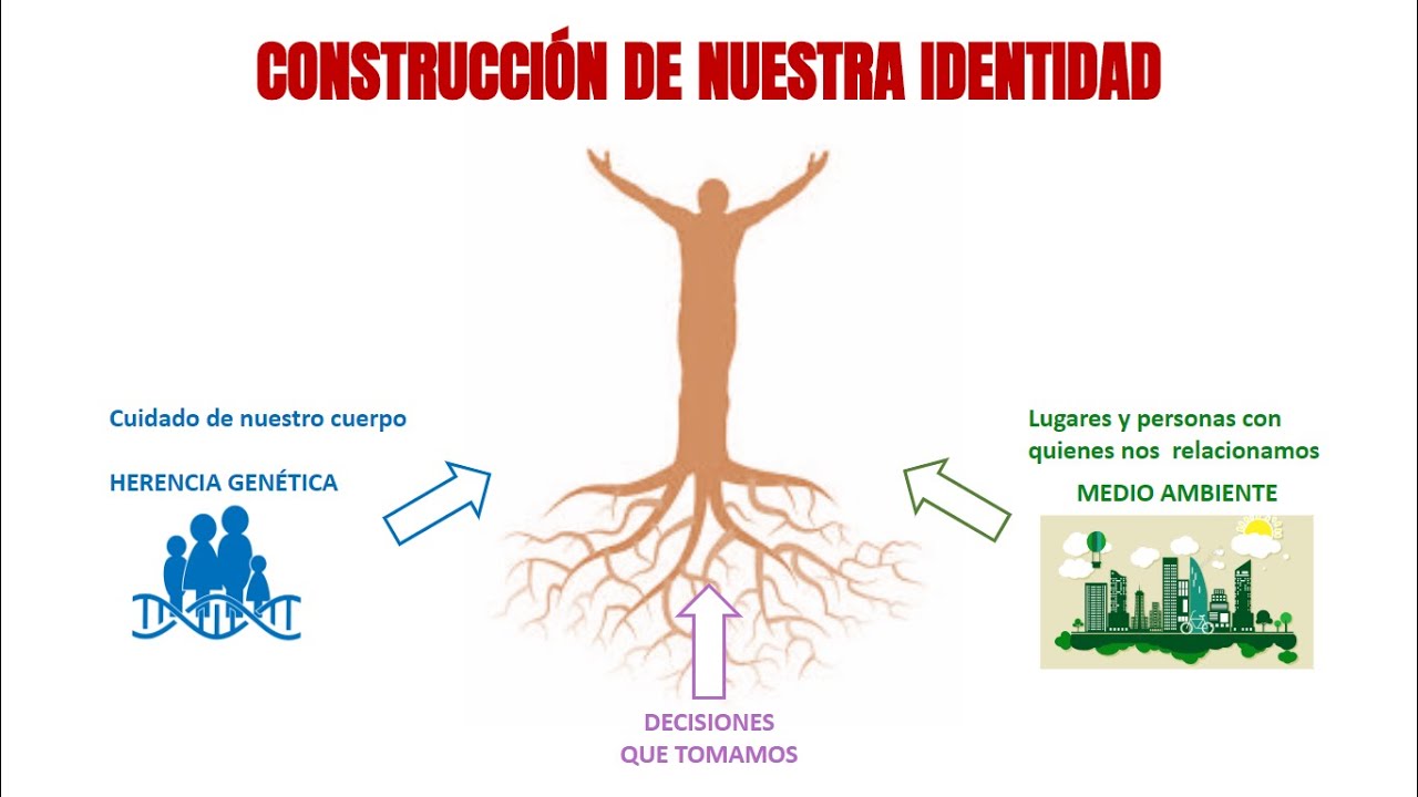 Dimensiones de la persona: afectiva y social - YouTube