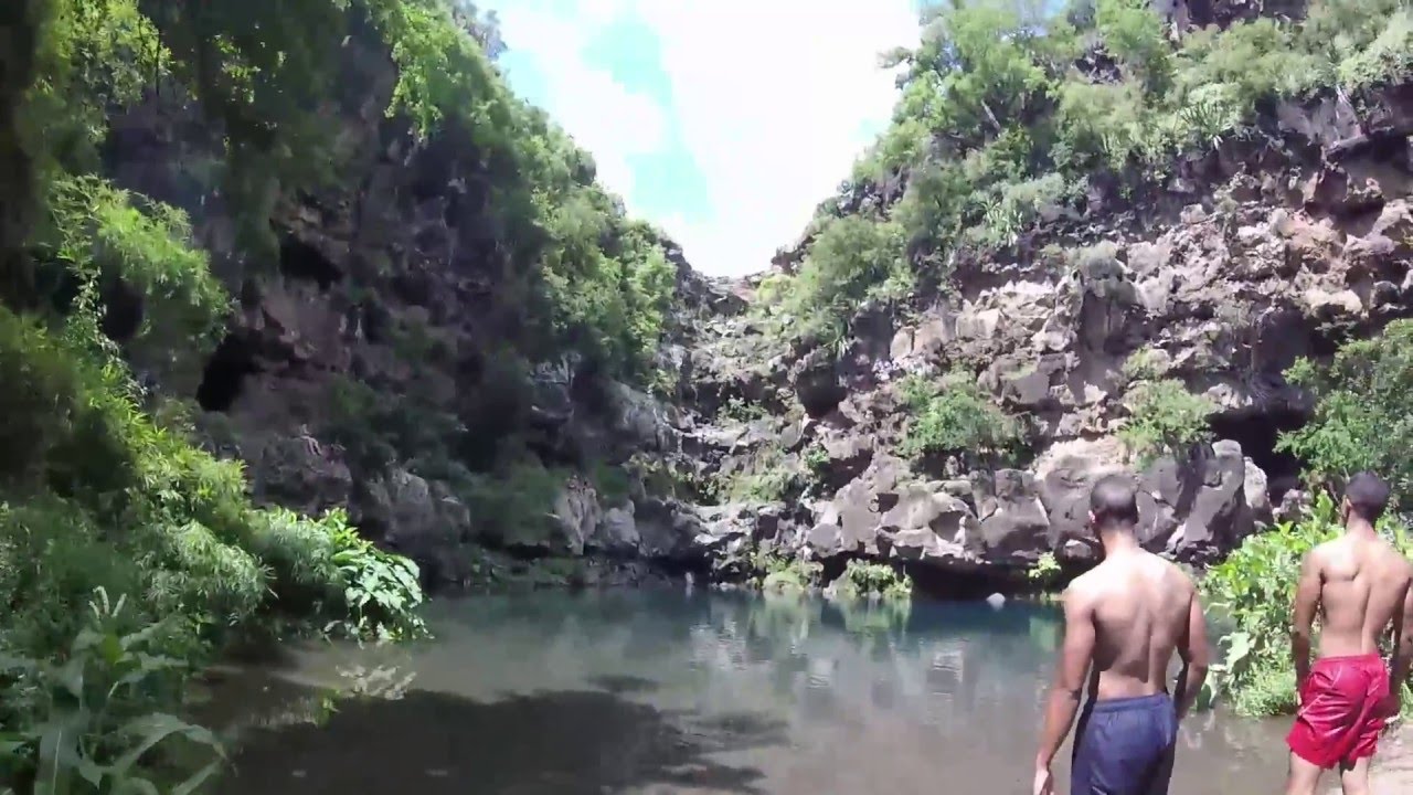 La Réunion - Cormoran - YouTube