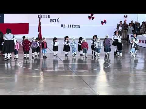 Baile el costillar - YouTube