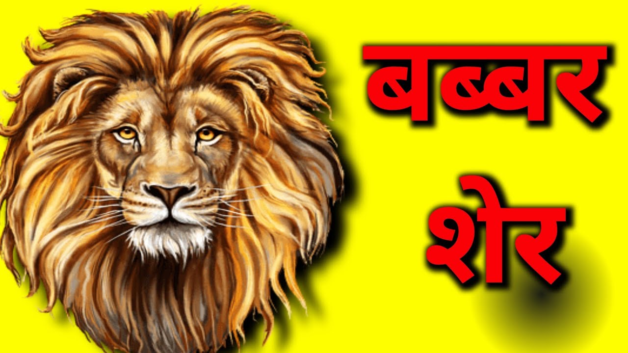 बब्बर शेर।।babbar sher।। बब्बर।। babbar।।#babbar #hindi #shayari # ...