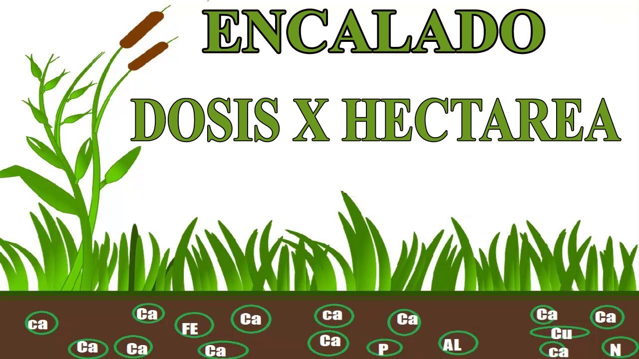 Como corregir la acidez del suelo - calcular dosis de cal en el ...