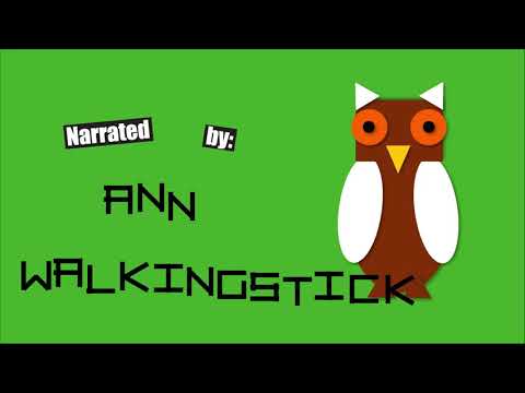 Cherokee Language - Shapes: Owl - YouTube