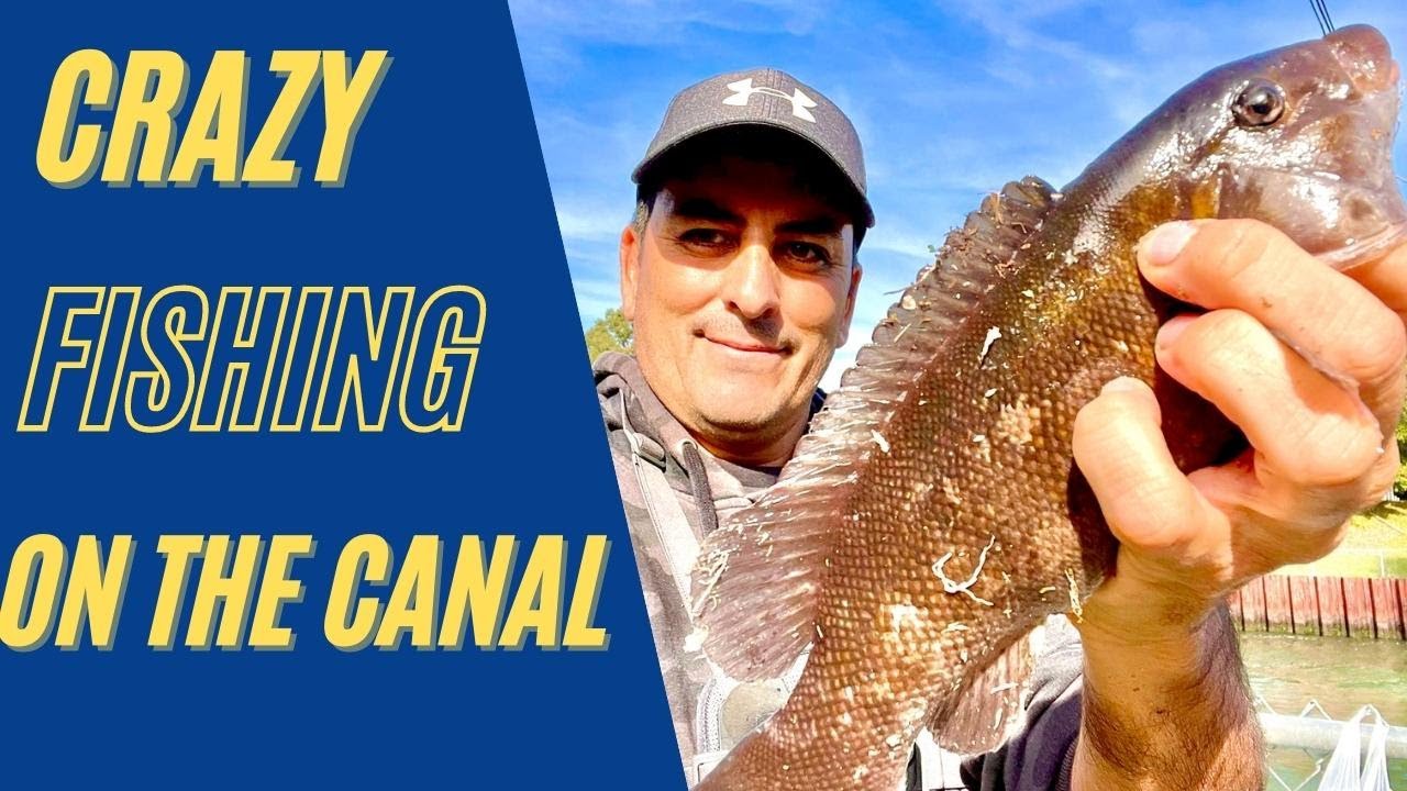 Black Fishing on Point Pleasant Canal NJ #blackfish #fishing # ...