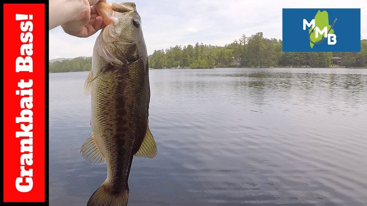 Catching Largemouth Bass - YouTube