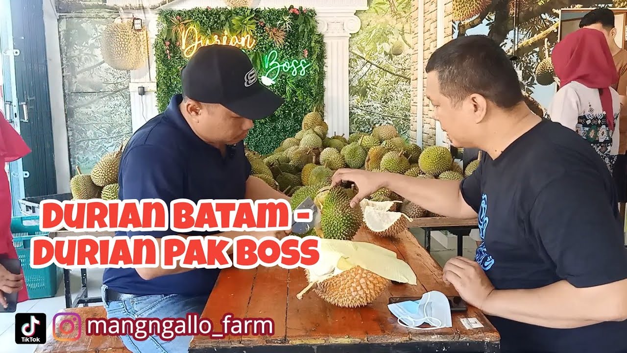 Durian Batam - Durian Pak Boss - YouTube