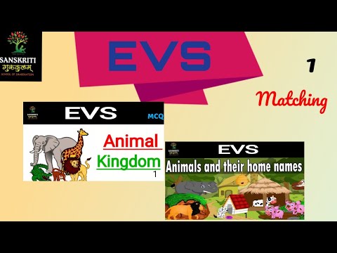 Animal Kingdom ~ Animals Food and Homes | Grade 1 | Matching | 11820