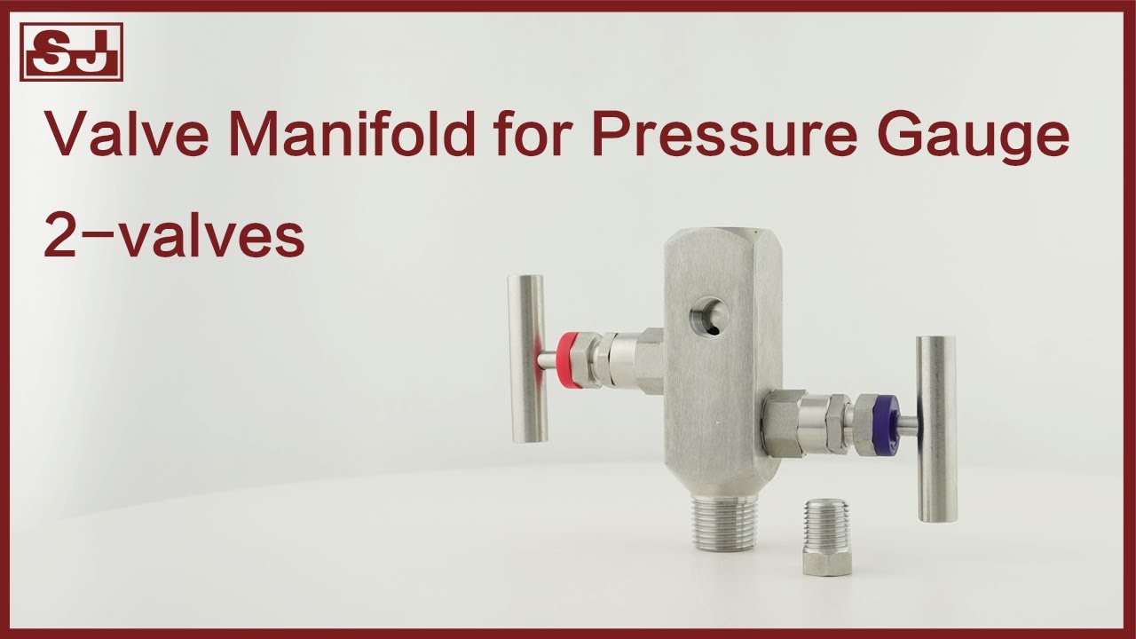 PRA-VS | Valve Manifold for Pressure Gauge, 2-valves - YouTube