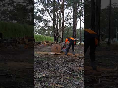 Ms880 testing