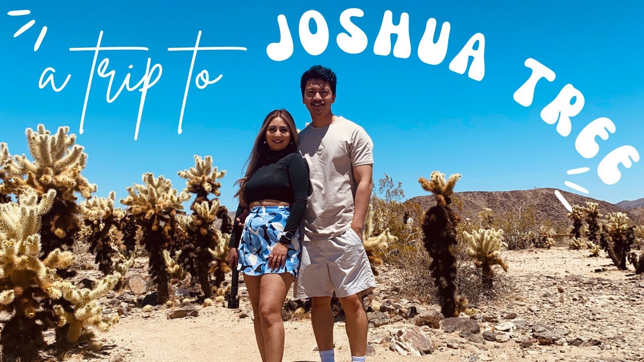 Joshua Tree | The Lama Family - YouTube