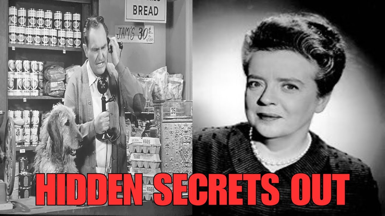 Uncovering the Mystery of Sarah, the Sultry Operator from The Andy ...