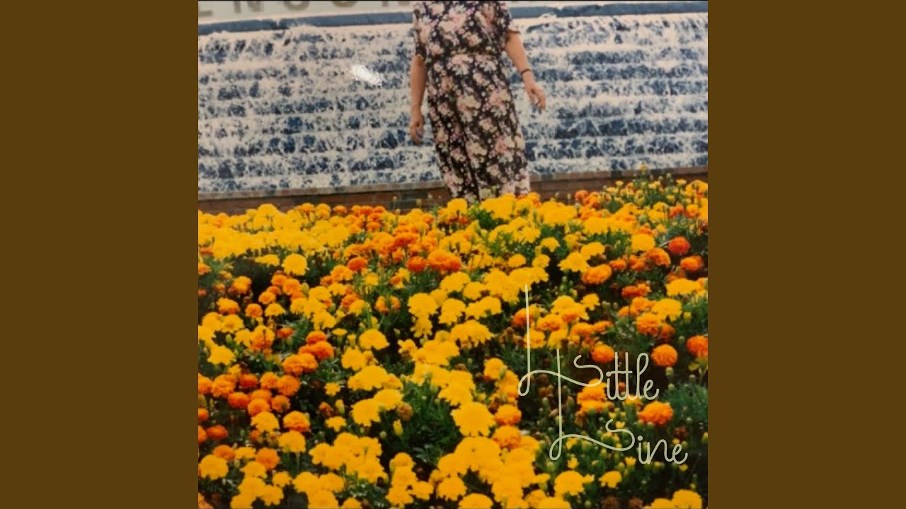 Little Line - YouTube