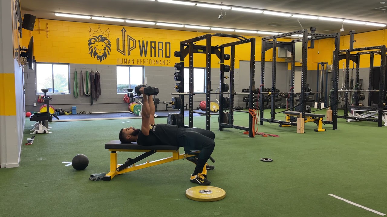 Eccentric DB Bench Press - YouTube