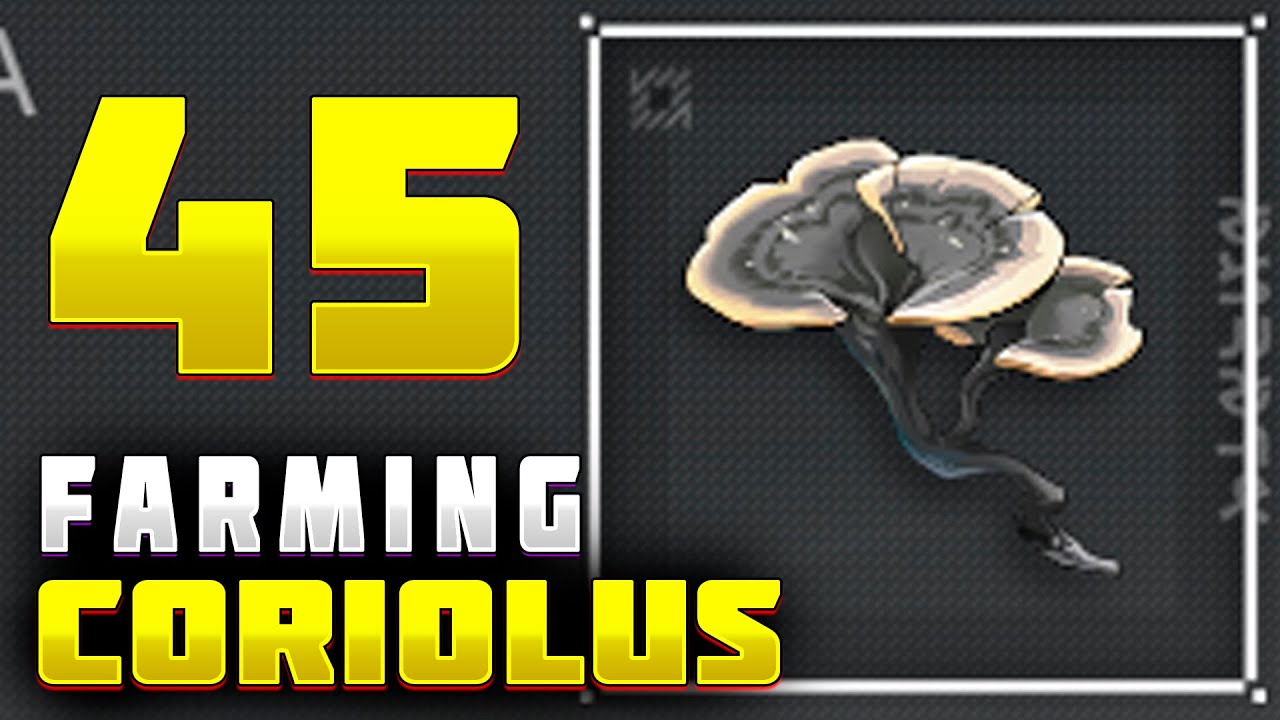 Coriolus Wuthering Waves Locations Farming Route - YouTube