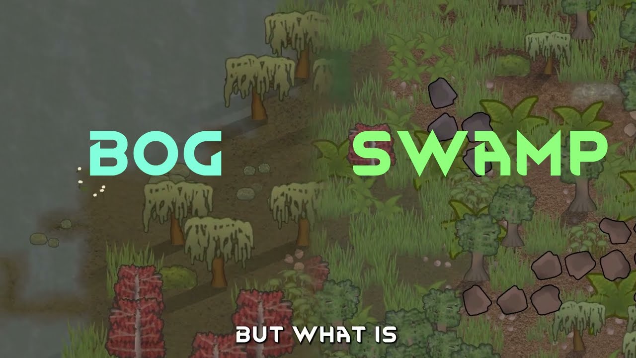 The Cold Bog Experience | Biomes - YouTube