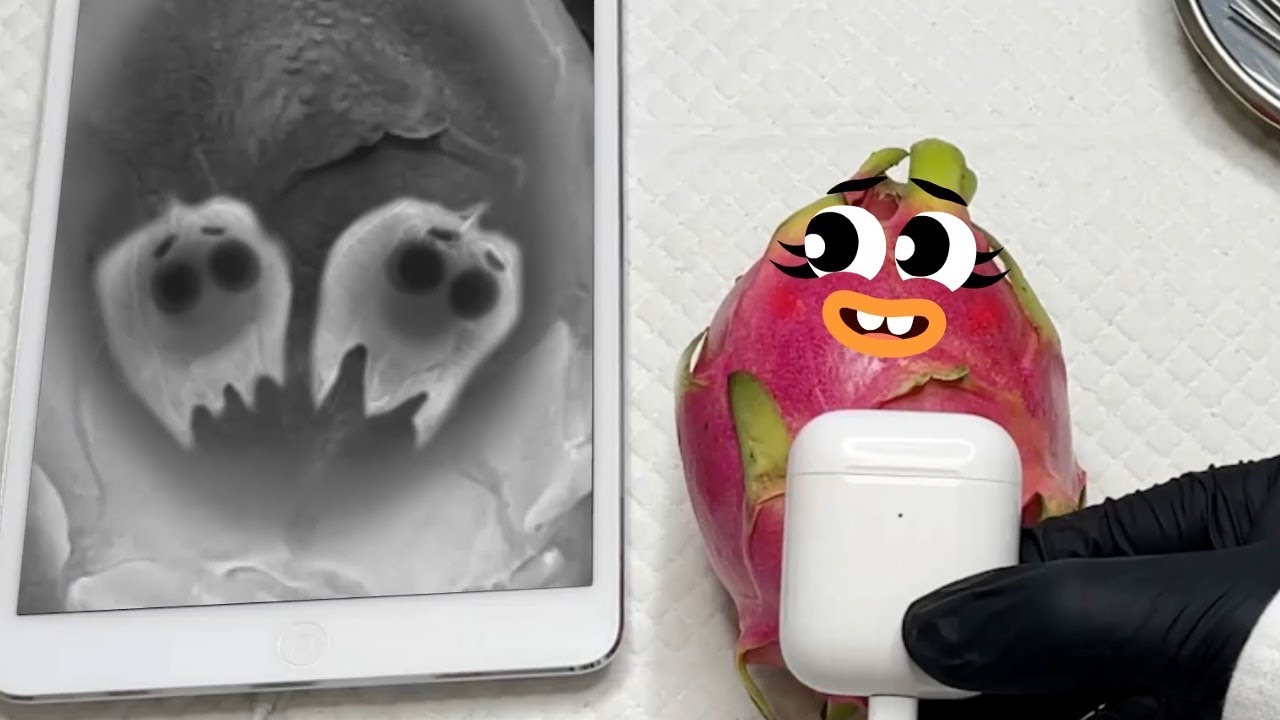 Jaw-Dropping Animated Skits That'll Make You LOL - YouTube