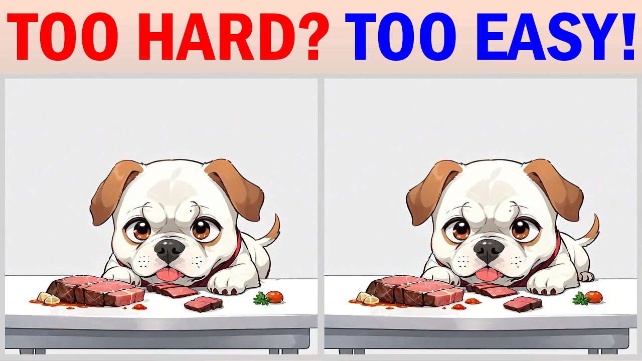 Too Hard? Too Easy! Spot The Difference 🛎🛎 - YouTube