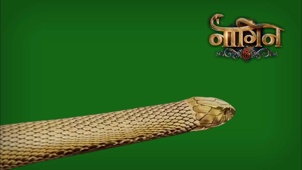 Naagin 6 Pratha snake animations on green | By Rg Studio | Naagin 6 ...