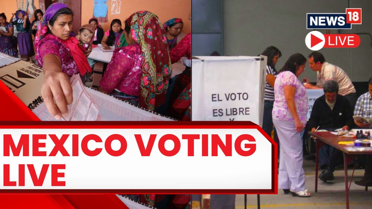 Mexico Election 2024 |Mexico News | Governorship Election Voting ...