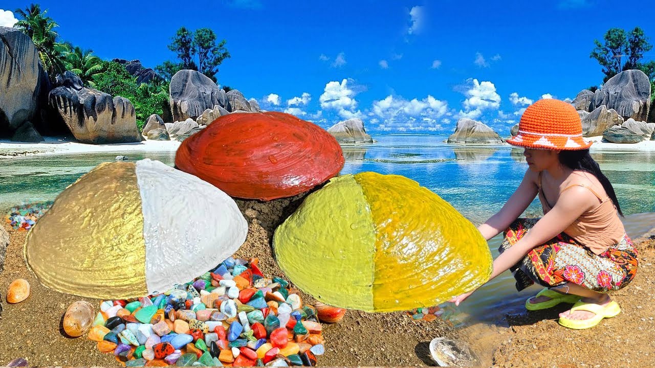 Incredible! I found a colorful high quality pearl crab from a huge ...