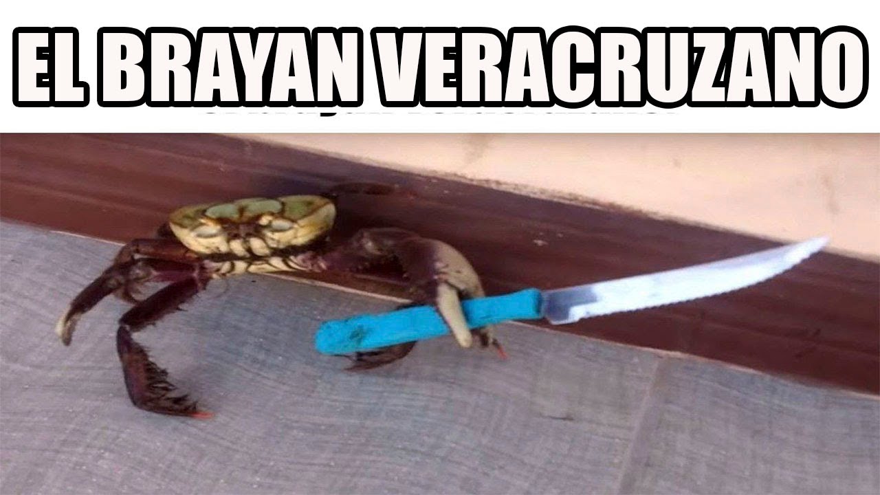 NO LO VEAS SI ERES DE VERACRUZ (memes veracruzanos) 🌴🔥 Risas Costeñas🌶️ ...