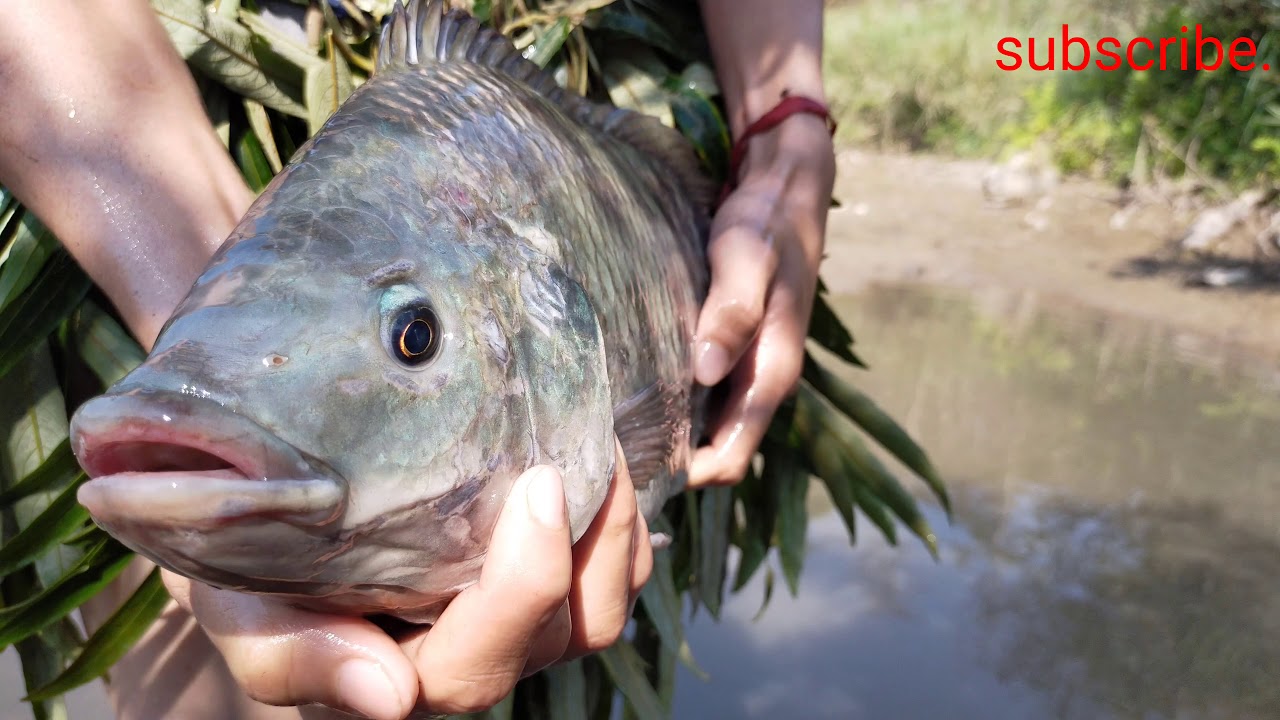 Primitive survival finding fish on the River. - YouTube