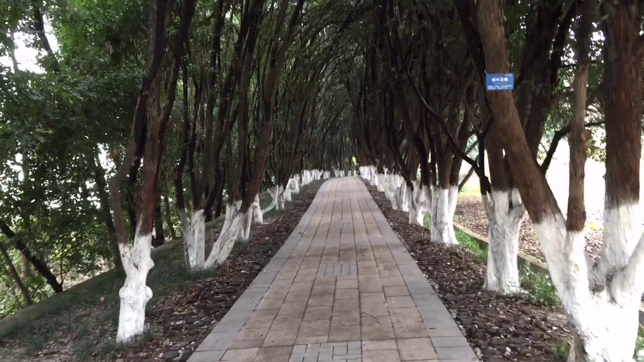 Chengdu Botanical Garden - Chengdu - Sichuan - China (1) - YouTube