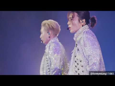 D&E {STYLE TOUR JAPAN 2018 DVD} Polygraph