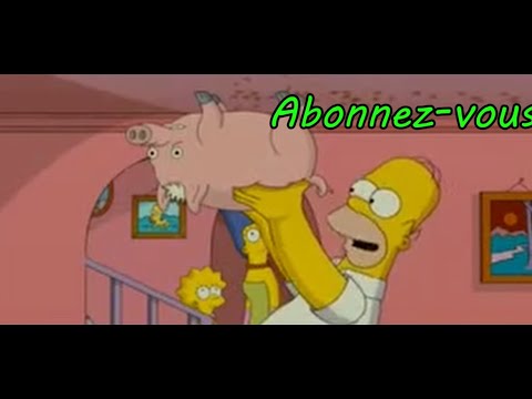 Spider cochon - YouTube