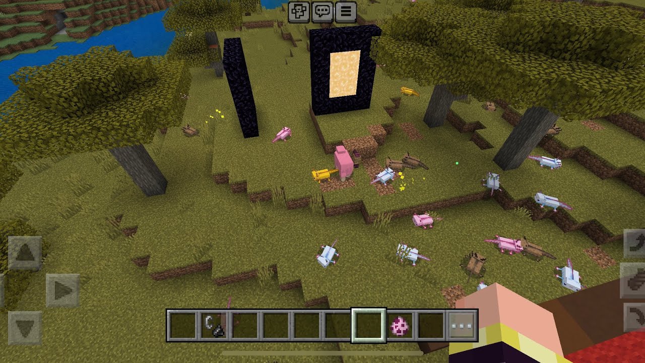 Weird Minecraft portal and searching for rare blue Axolotl! - YouTube