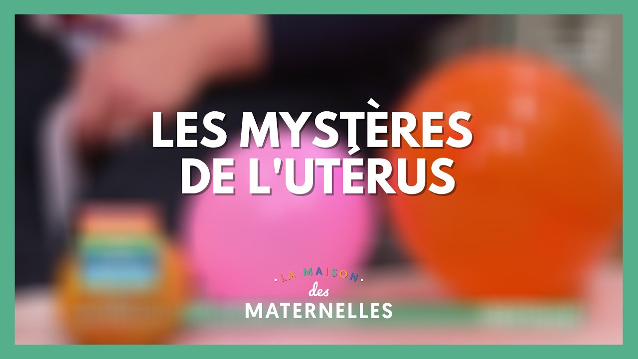 Les Mystères De Lutérus La Maison Des Maternelles Lmdm Youtube