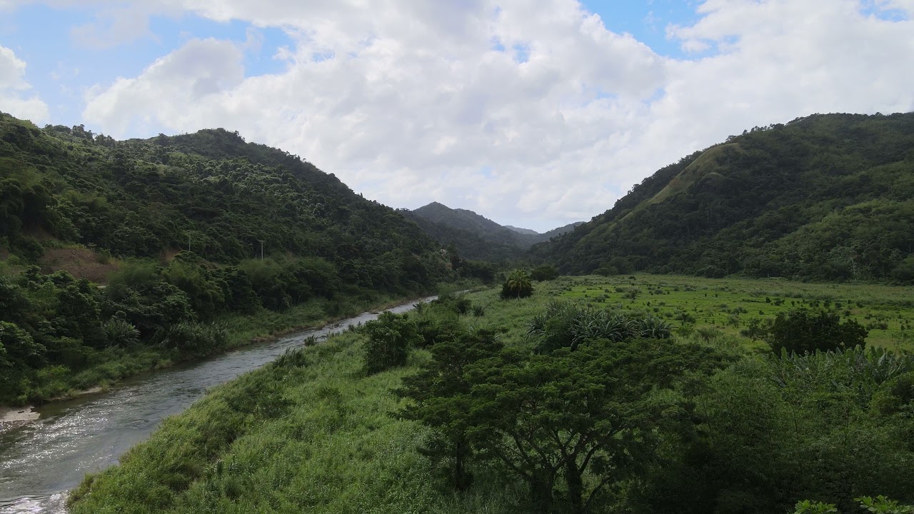 Wag Water River Jamaica Drone Aerial Footage - YouTube