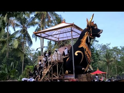 LEMBU HITAM RAKSASA DI BALI !!! - Ngaben Massal di Desa Adat Antiga ...