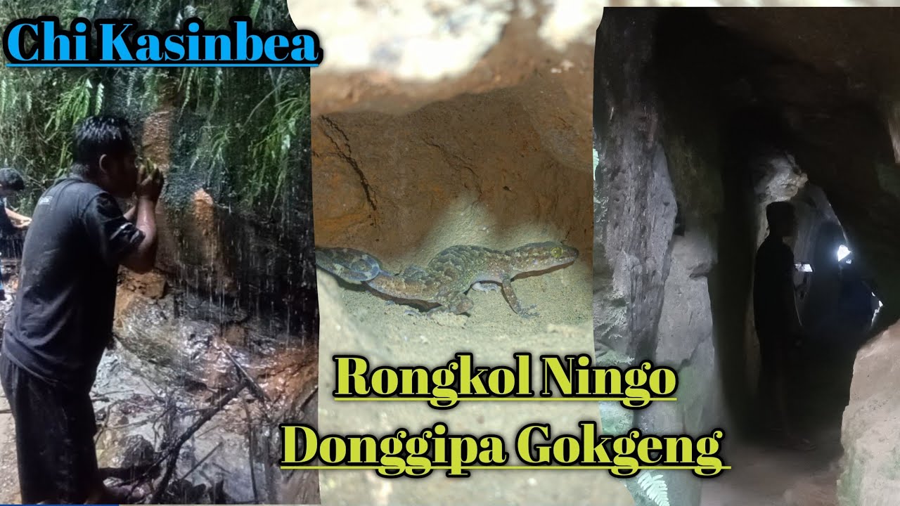 Explore Mecheng Cave || Lizard In a cave || Salban Manda - YouTube