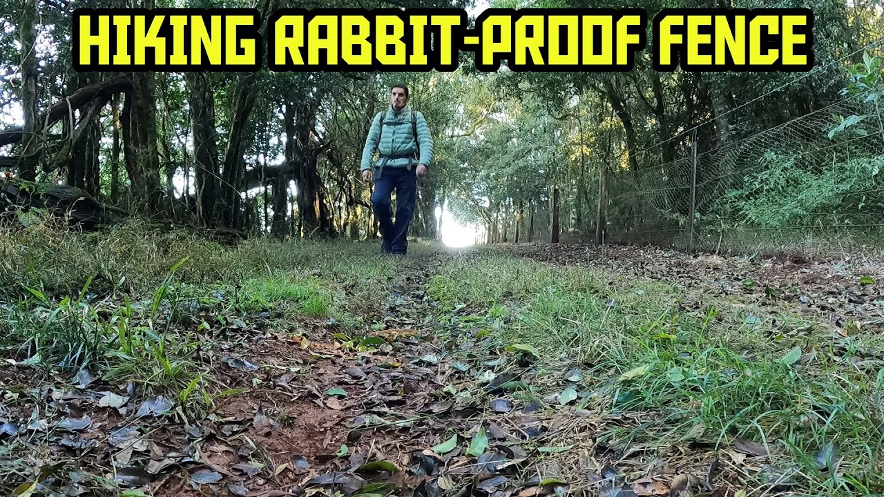 Rabbit-Proof Fence Adventure: Hiking QLD/NSW Border 🇦🇺 - YouTube