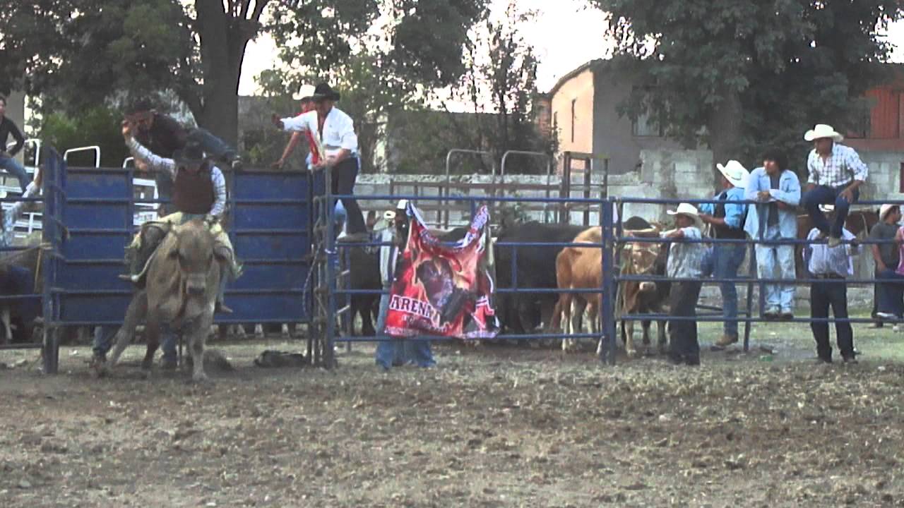 toro rodeo san jose atlan - YouTube