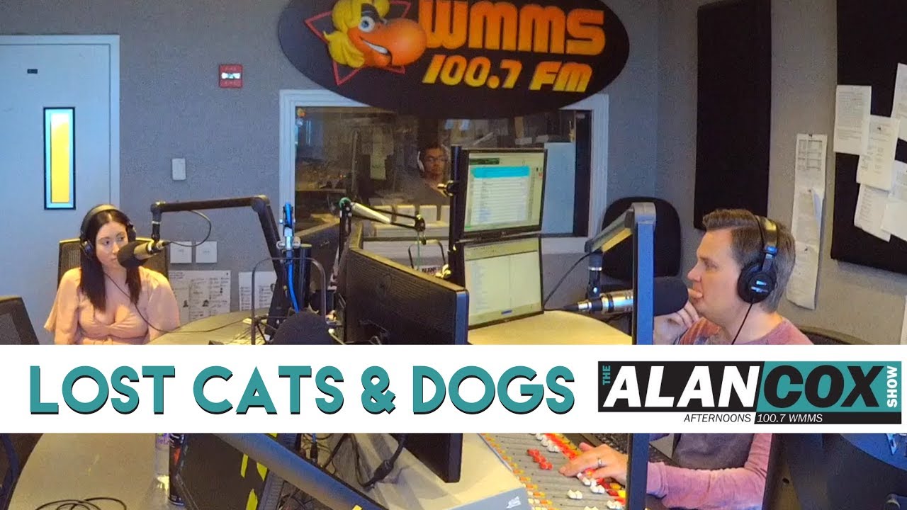 Lost Cats & Dogs | The Alan Cox Show - YouTube