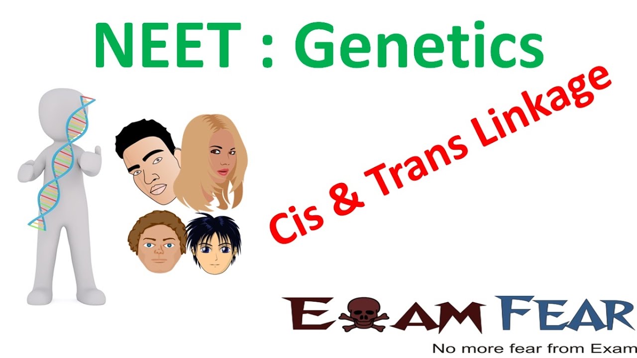 NEET Biology Genetics : Cis and Trans Linkage - YouTube